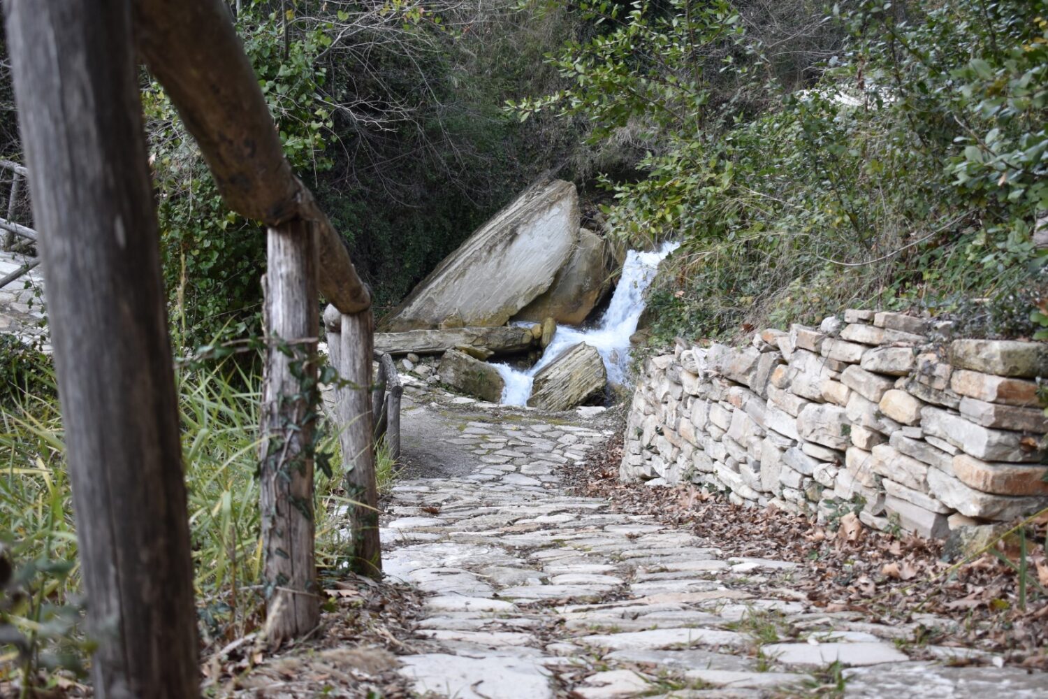 Με μεγάλη επιτυχία διοργανώθηκε ο 2ος Δρόμος Θυσίας «Κακολύρι 1944 ...